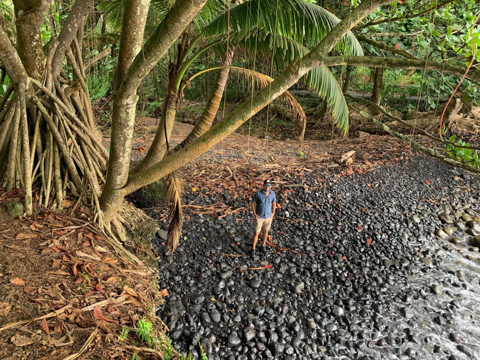 5 Day Big Island Itinerary: Day 2 - Hilo - Married with Wanderlust