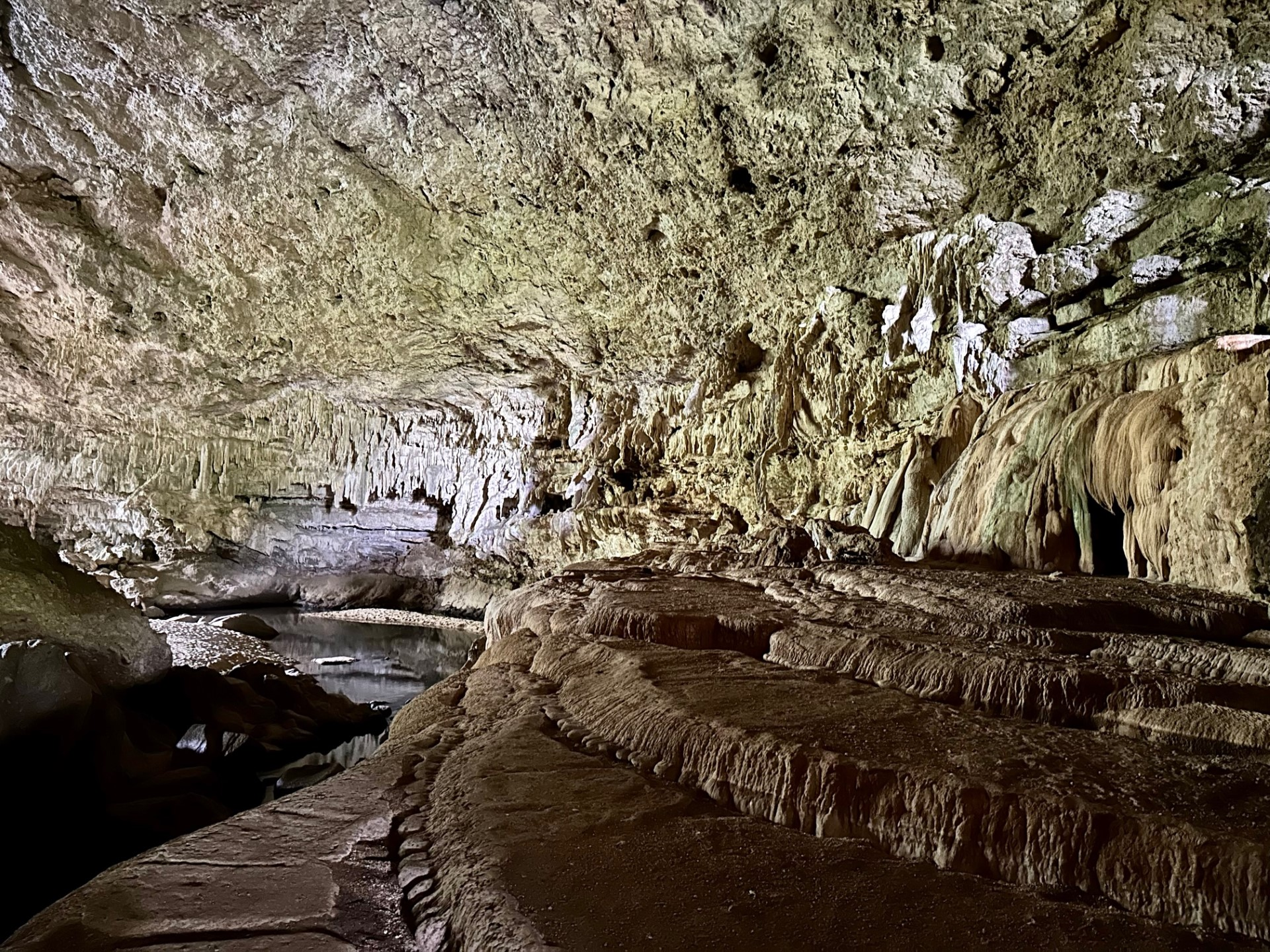 Visiting Belize's Mountain Pine Ridge Forest Reserve - Married with ...